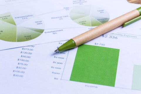 Mastering the profit and loss statement: your key to financial clarity